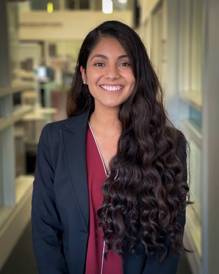 Meet the Daniel Stark Law Attorneys & Team Members